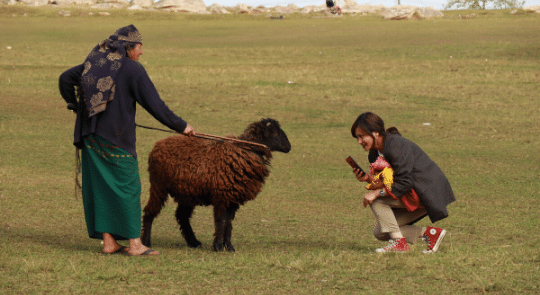 Good Wool Hunting Story – Muezart